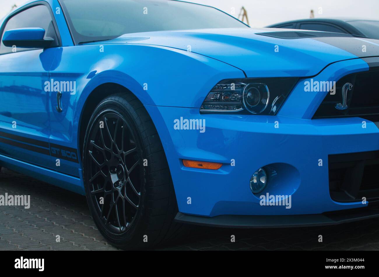 Beautiful view of the sports car blue Ford Mustang Stock Photo - Alamy