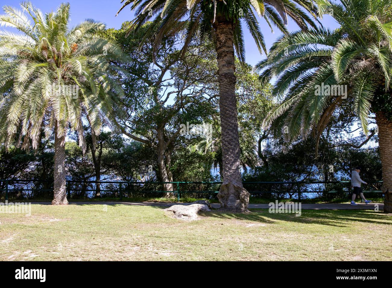 Cremorne Point and Cremorne Reserve on the lower north shore of Sydney ...