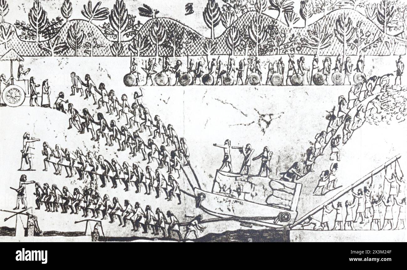 Slave transportation hi-res stock photography and images - Alamy