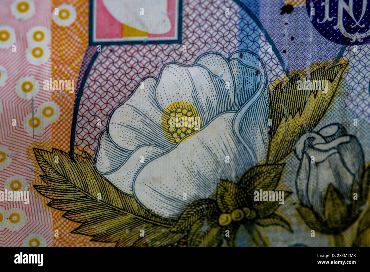 LEI money banknotes, detail photo of RON. Romanian currency Stock Photo ...