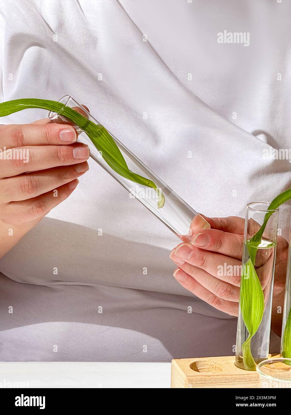 Scientist Examining Plant Extracts in Laboratory, Analysis of Green ...