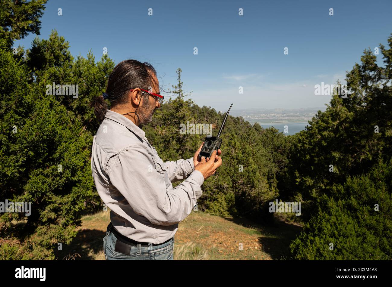 A man checking a photo trap in the forest for wild animals Stock Photo ...