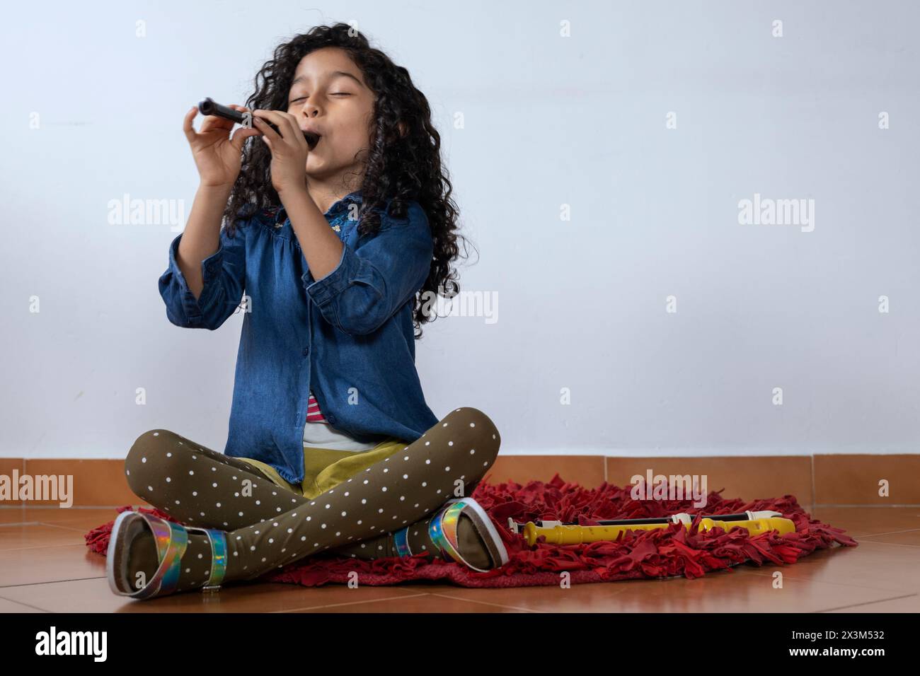 Piccolo instrument hi-res stock photography and images - Alamy