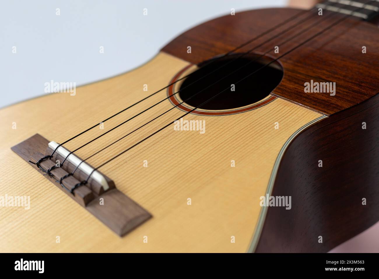 Folk instrument hi-res stock photography and images - Alamy