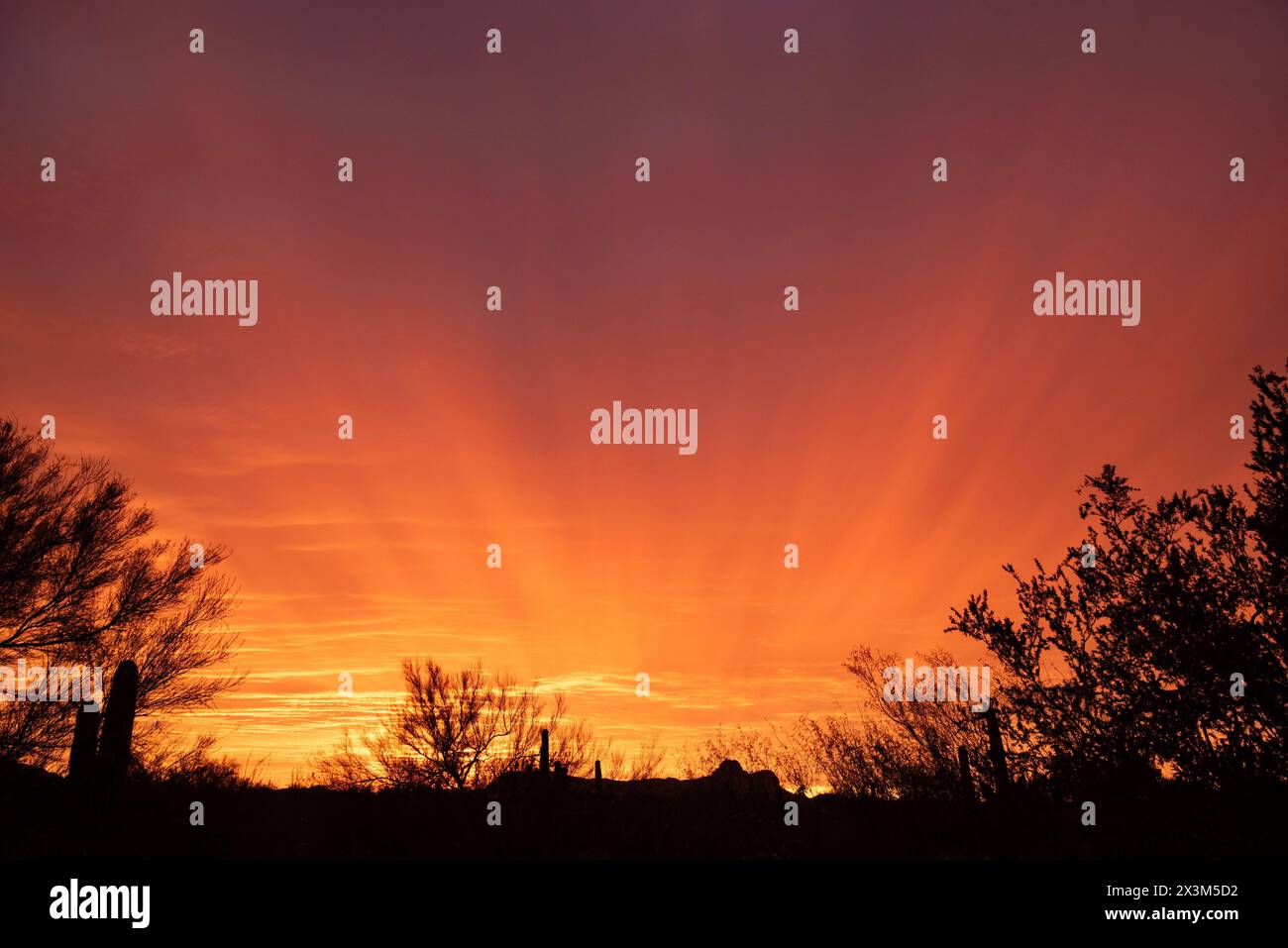 Arizona sunset in sonoran hi-res stock photography and images - Alamy