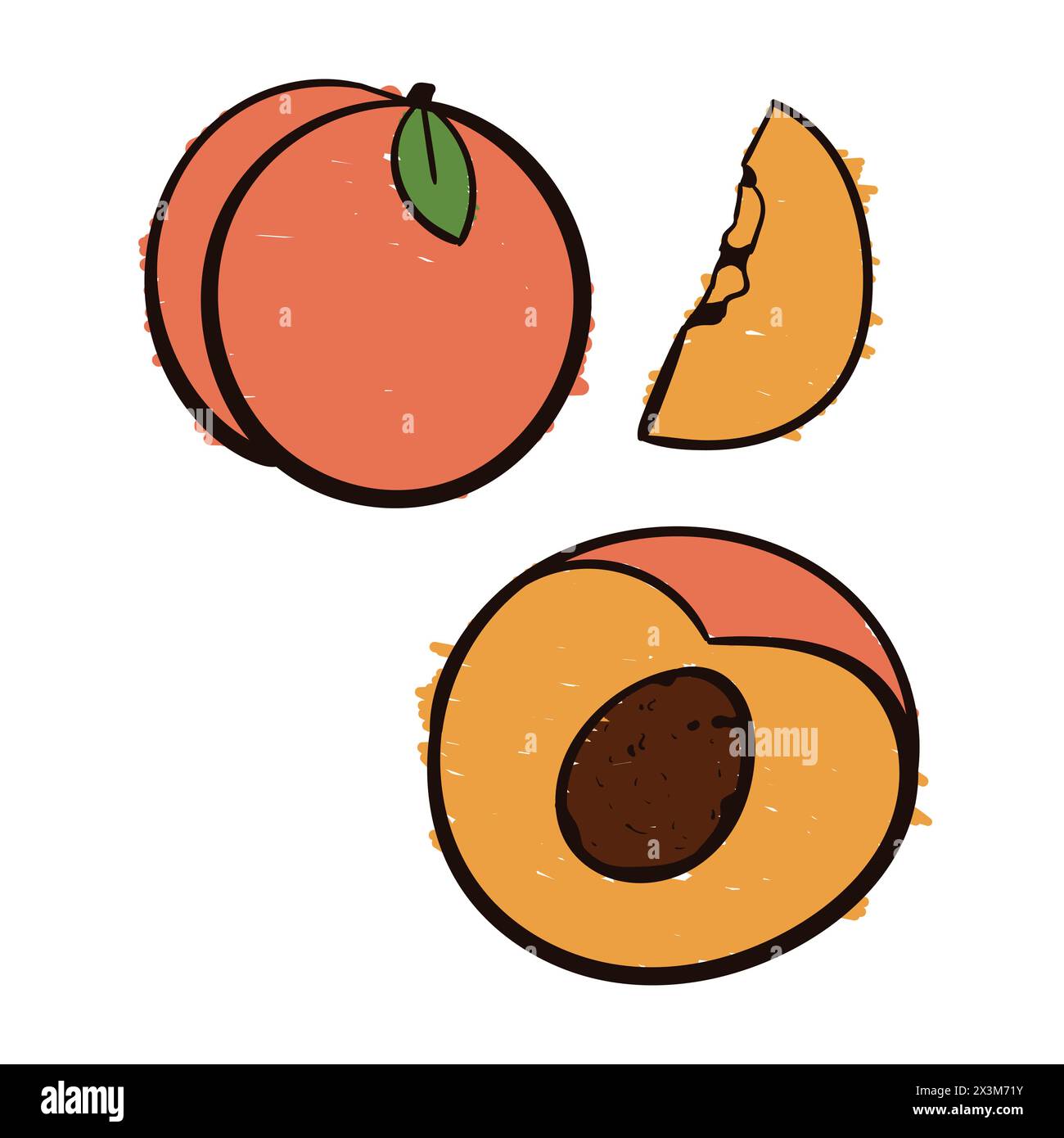 Peach Fruit Drawing Set Vector Peach Scribbles Doodle icons. Peach ...