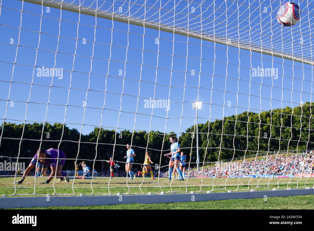 Football player stadium hitting ball hi-res stock photography and ...