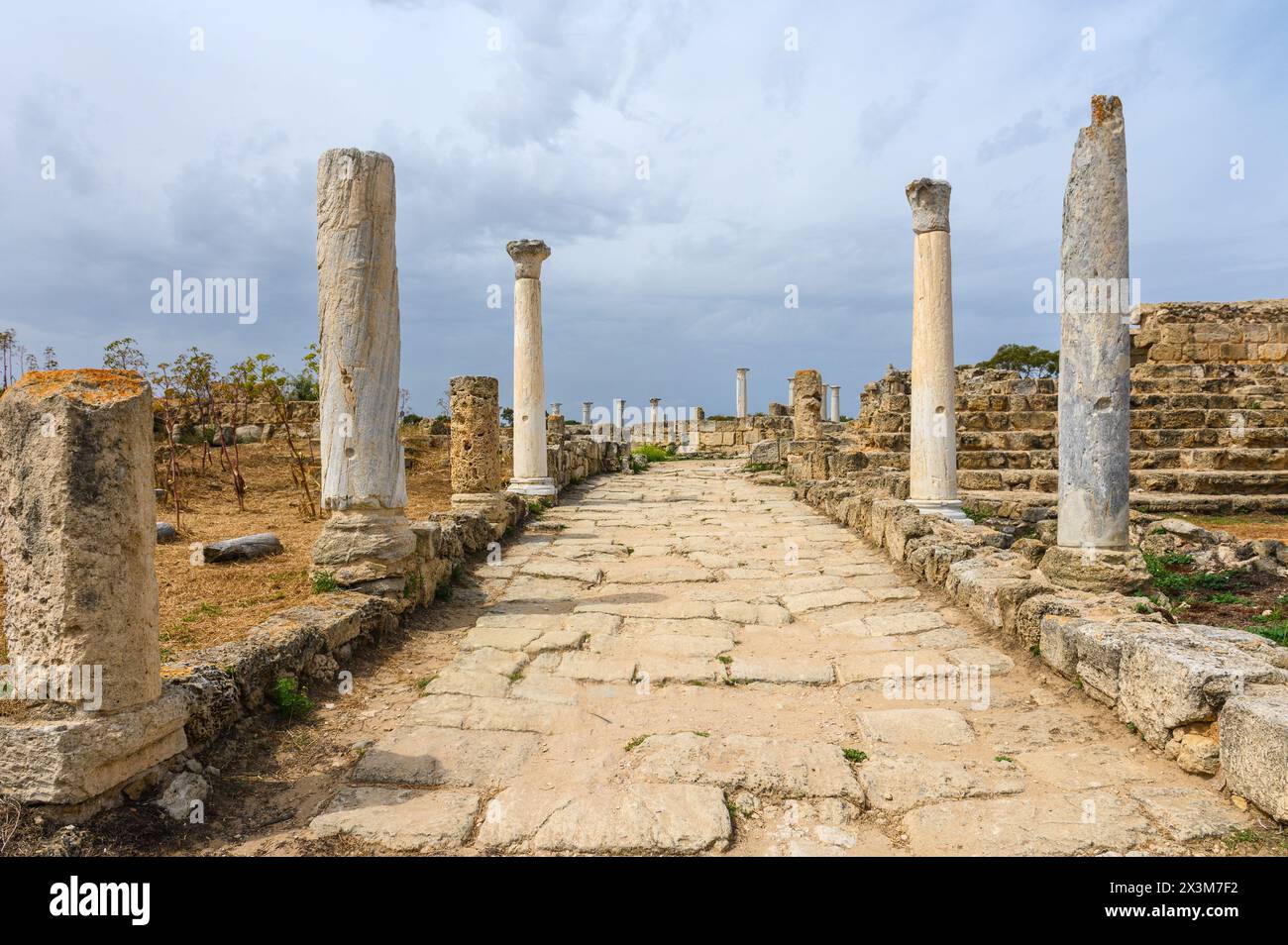 Salamis, Cyprus - April 16, 2024 - Ancient Greek ruins and columns in ...