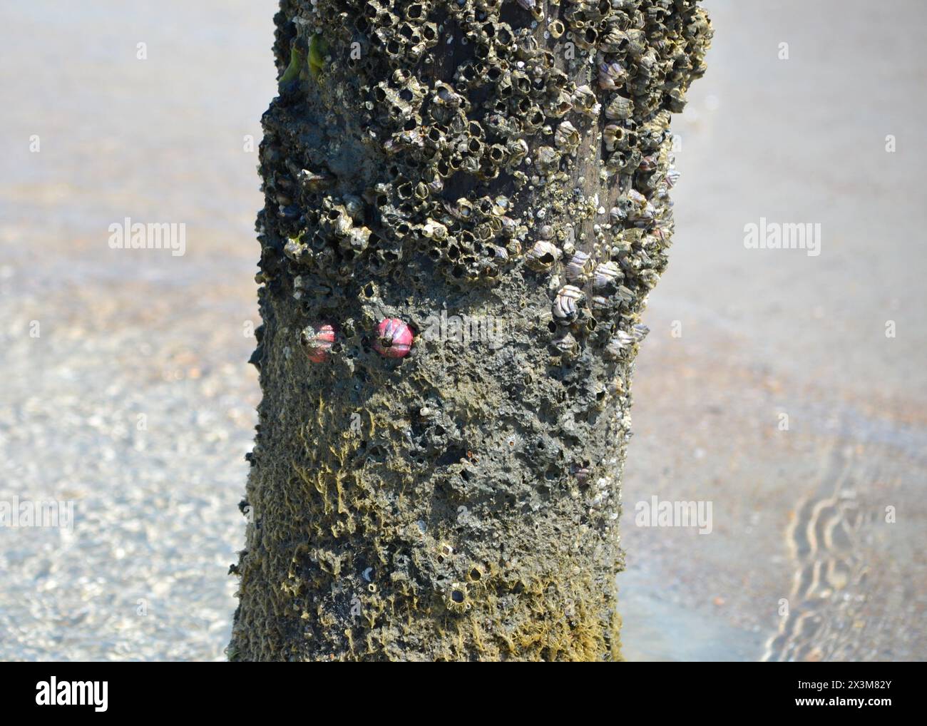 Steep sided cone hi-res stock photography and images - Alamy