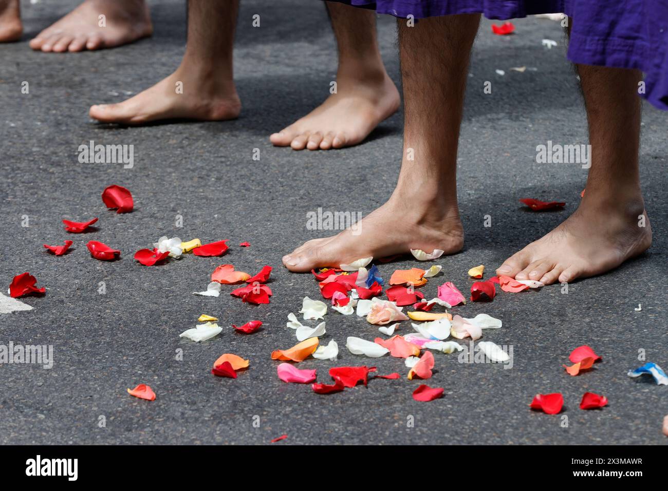 Madison Avenue, New York, USA, April 27, 2024 - Thousands of Sikh Marches in the 2024 Sikh Day ...
