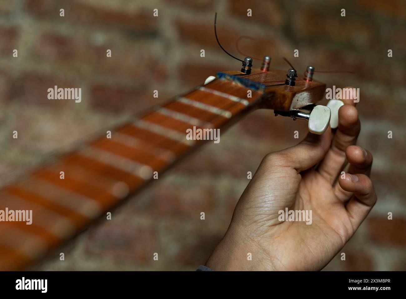 Hand on the peg tunes the strings of a "Cuatro", typical Venezuelan ...