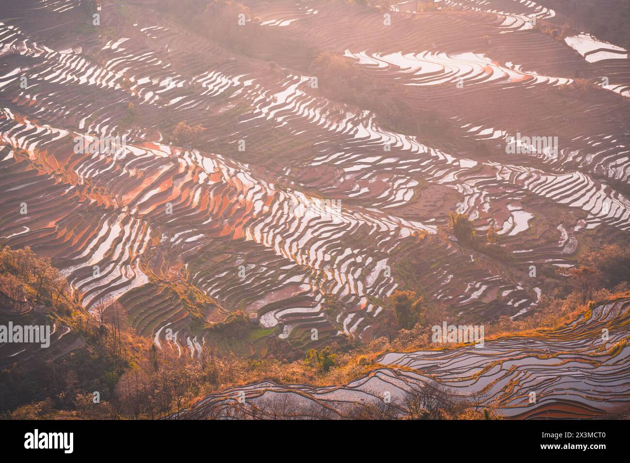 Abstract shot of Bada rice terraces filled with water, Yuanyang, Yunnan ...