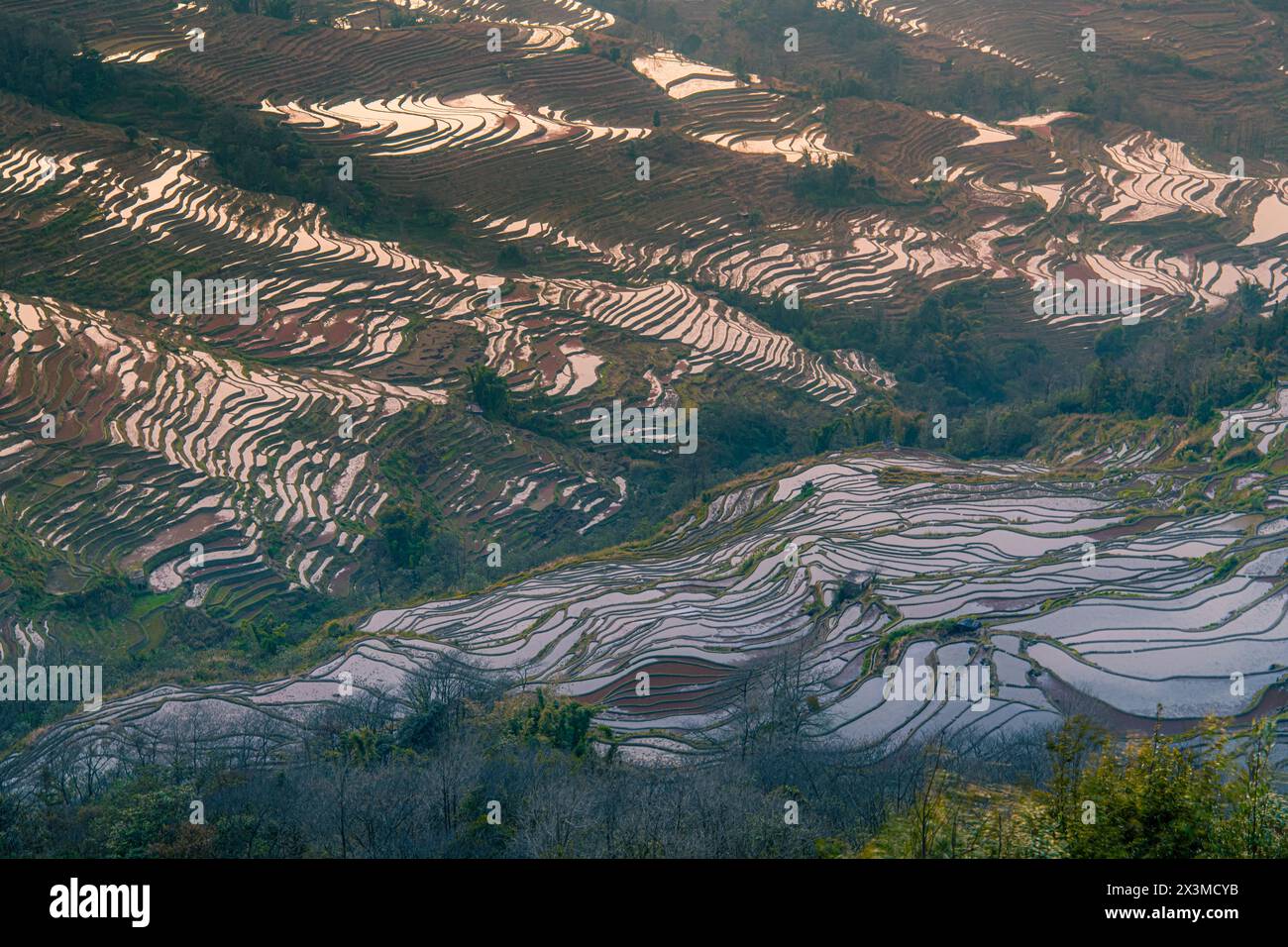 Yuanyang rice terrace from Bada scenic area in Yunnan province, China ...