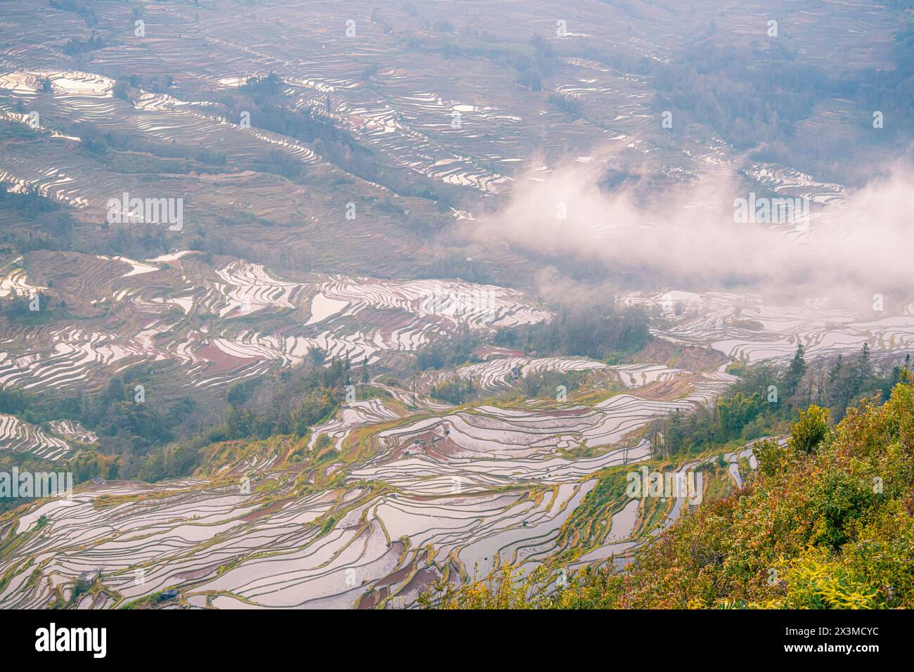 The clouds at YuanYang rice terraces during the sunset, Yunnan, China ...