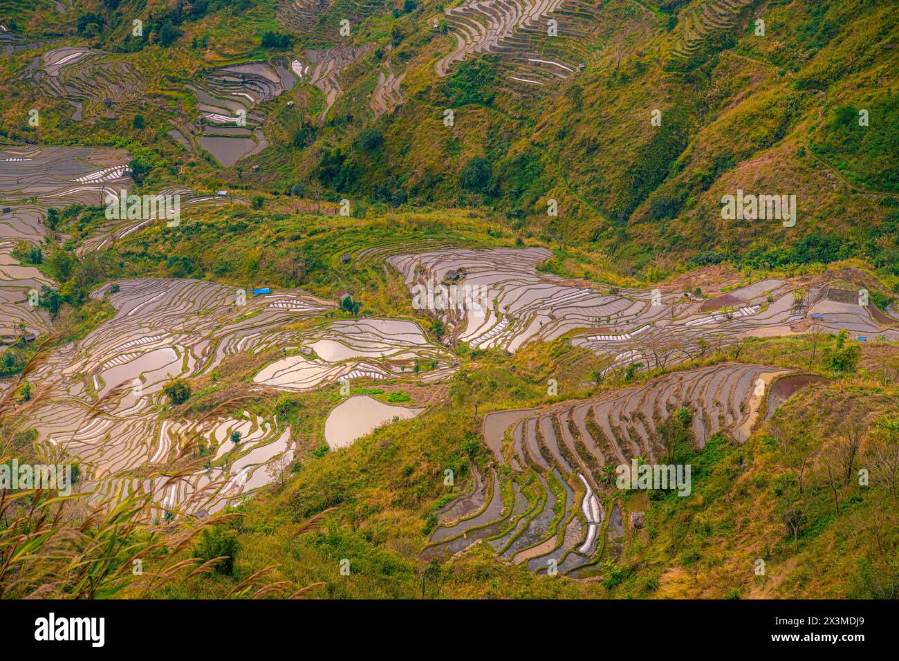 Beautiful layers rice terraces hi-res stock photography and images - Alamy