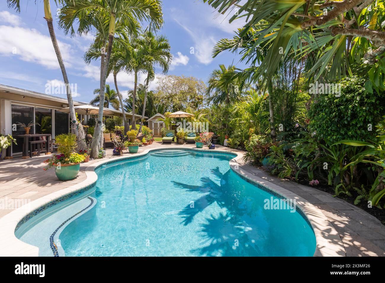 Swimming pool on the backyard of a house, Florida, USA Stock Photo - Alamy