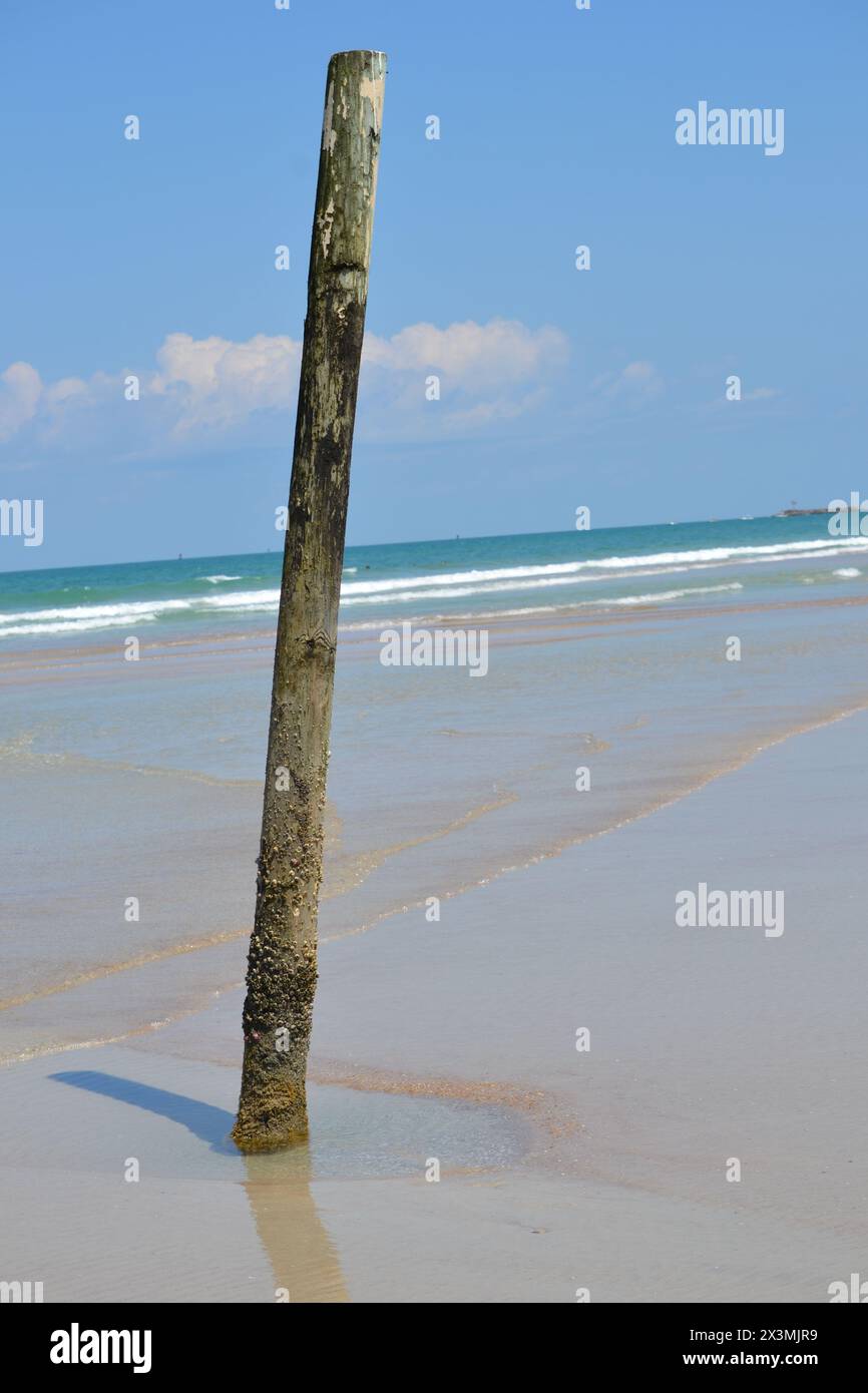 Titanium acorn hi-res stock photography and images - Alamy