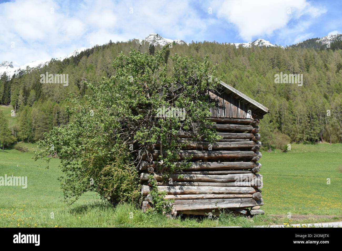 Beautiful landscape with old mountains log cabin high in the Austrian ...