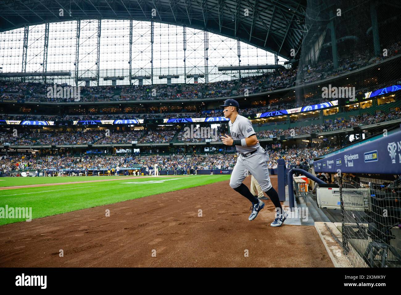 Aaron judge out field hi-res stock photography and images - Alamy