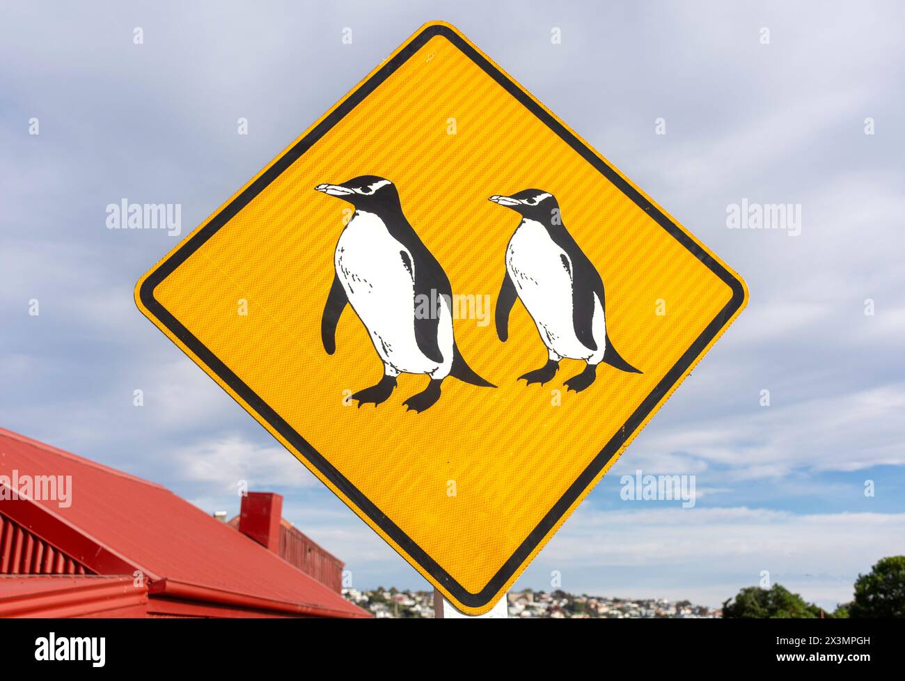 Penguins crossing sign at Oamaru Blue Penguin Colony, Waterfront Road ...