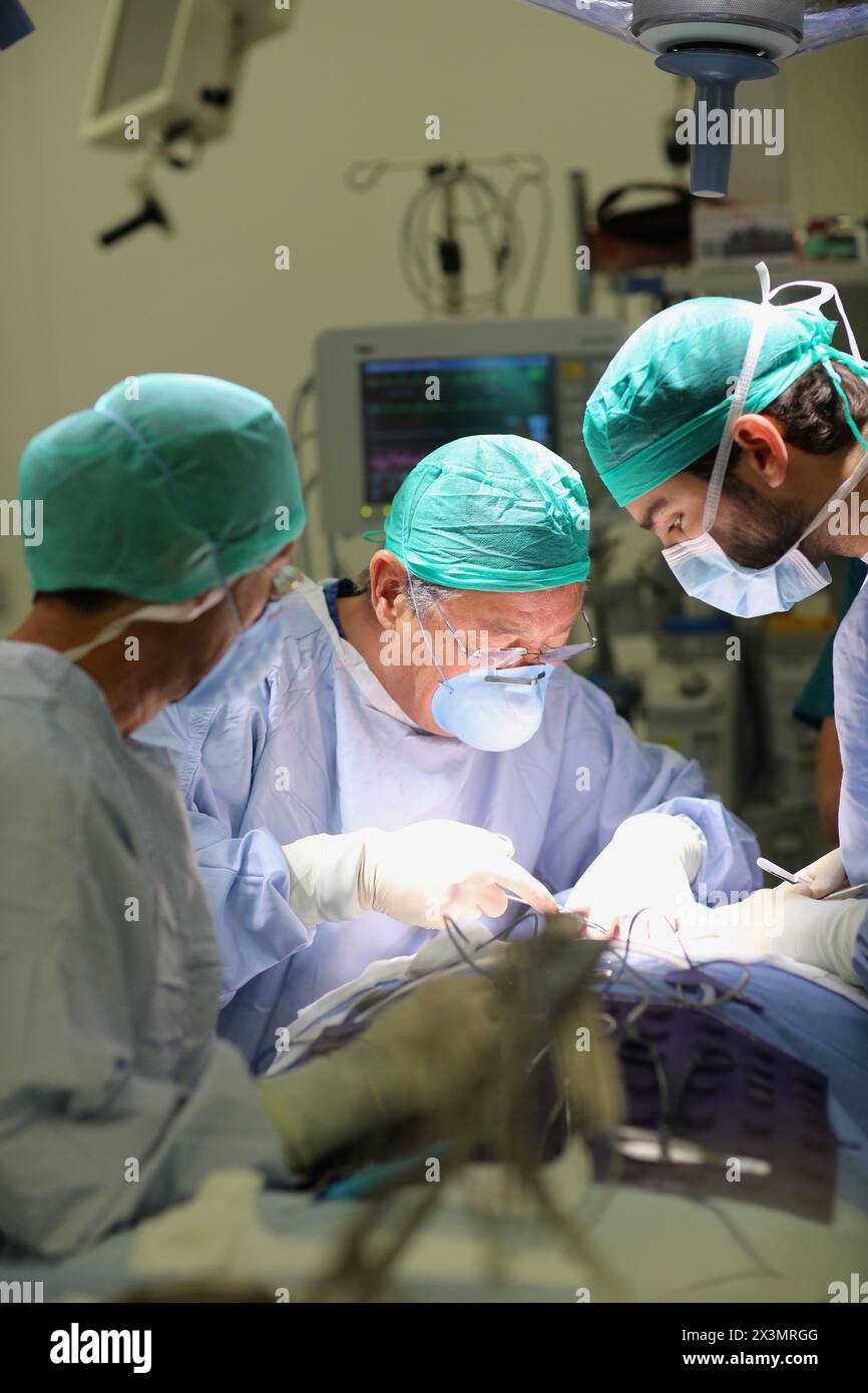 Surgeon, Surgery, Operating room, Onkologikoa Hospital, Oncology ...