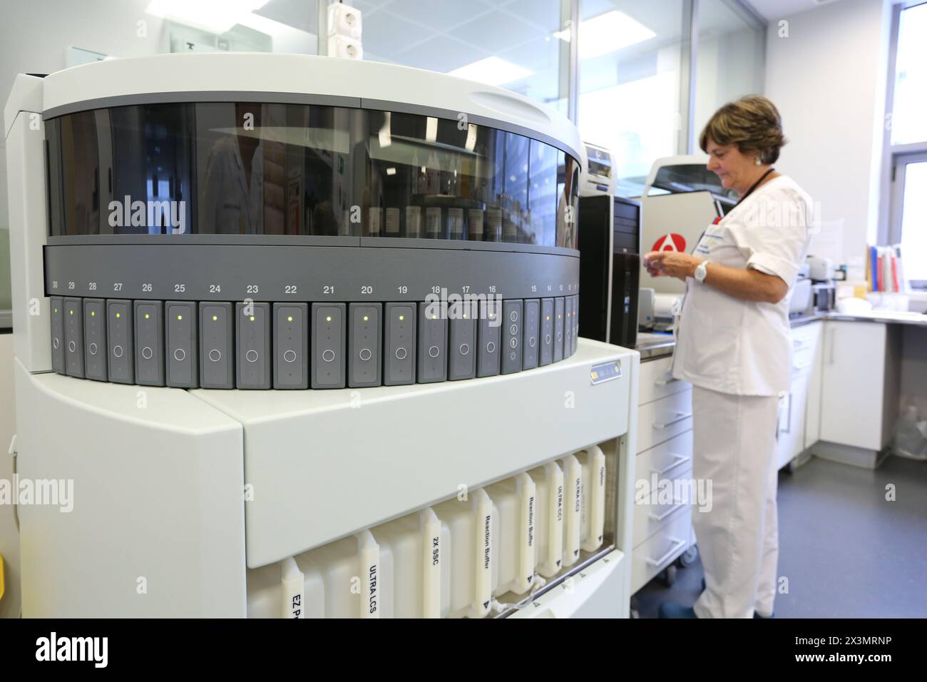 BenchMark IHC/ISH staining platforms automate the entire ...