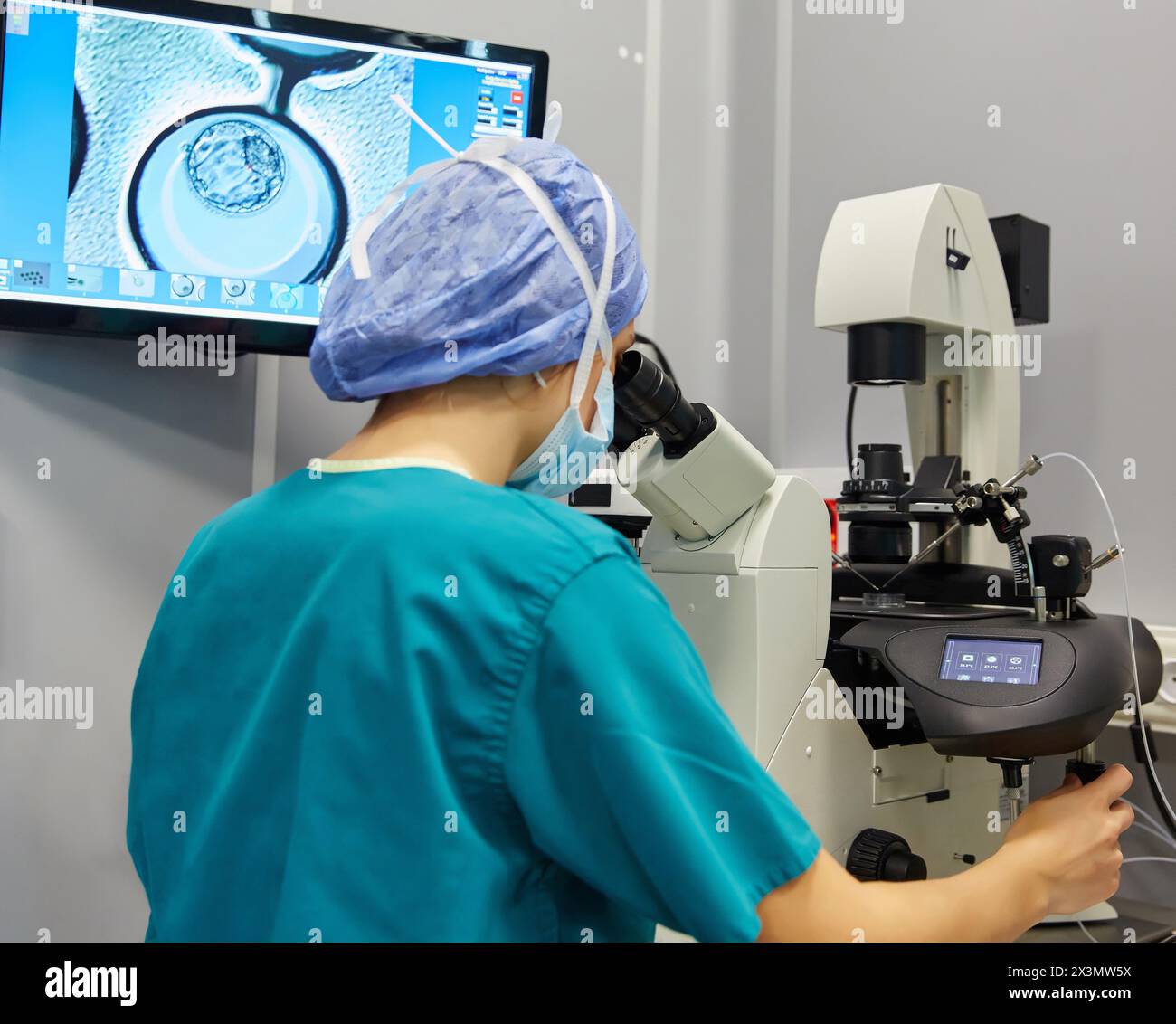 Embryology, ARU, Assisted Reproduction Unit, IVF, In Vitro ...