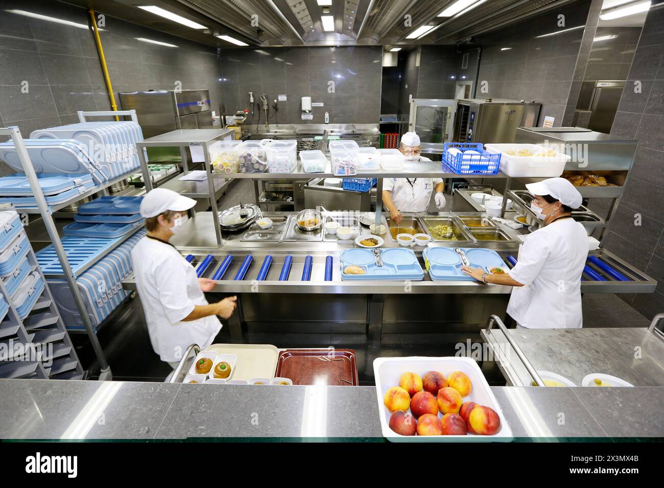 Cook, Food menu preparation, hospital kitchen, Onkologikoa Hospital ...