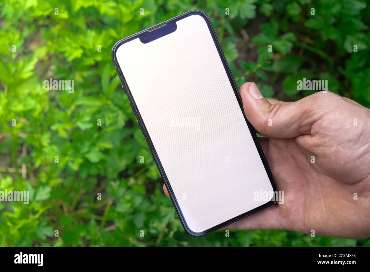 Farmer hand holding mobile phone with empty white screen. Mock up ...