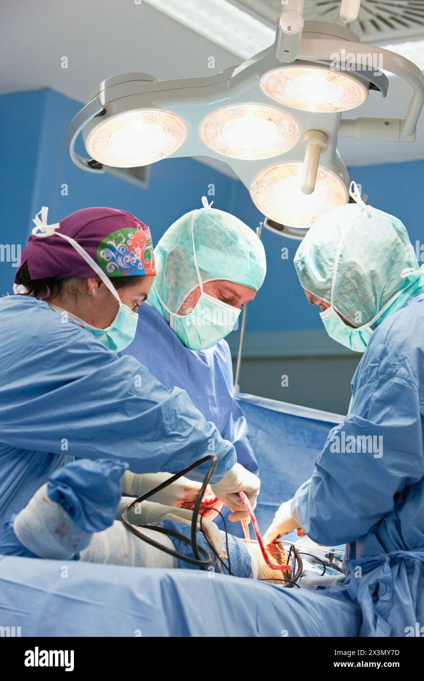 Hip joint replacement, traumatology operating room. Hospital ...