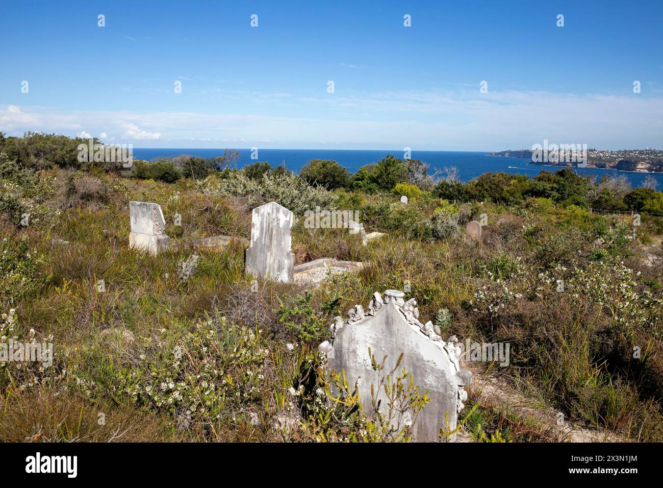 Smallpox 19th century hi-res stock photography and images - Alamy