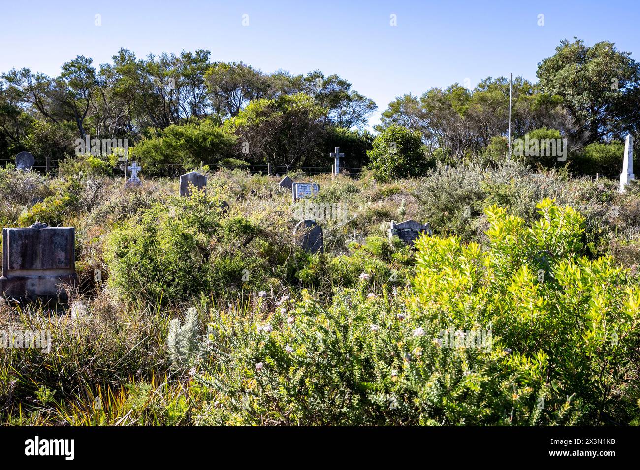Third Quarantine cemetery, on North Head Manly, opened in 1881 for the ...