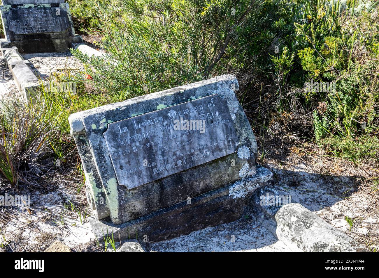 Third Quarantine cemetery, on North Head Manly, opened in 1881 for the ...
