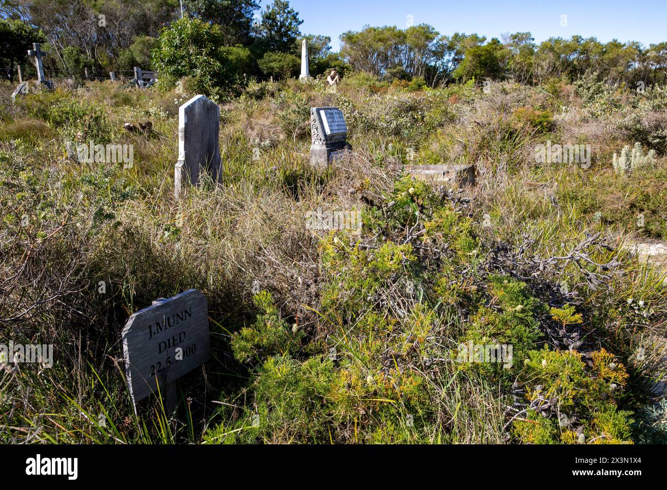 Third Quarantine cemetery, on North Head Manly, opened in 1881 for the ...