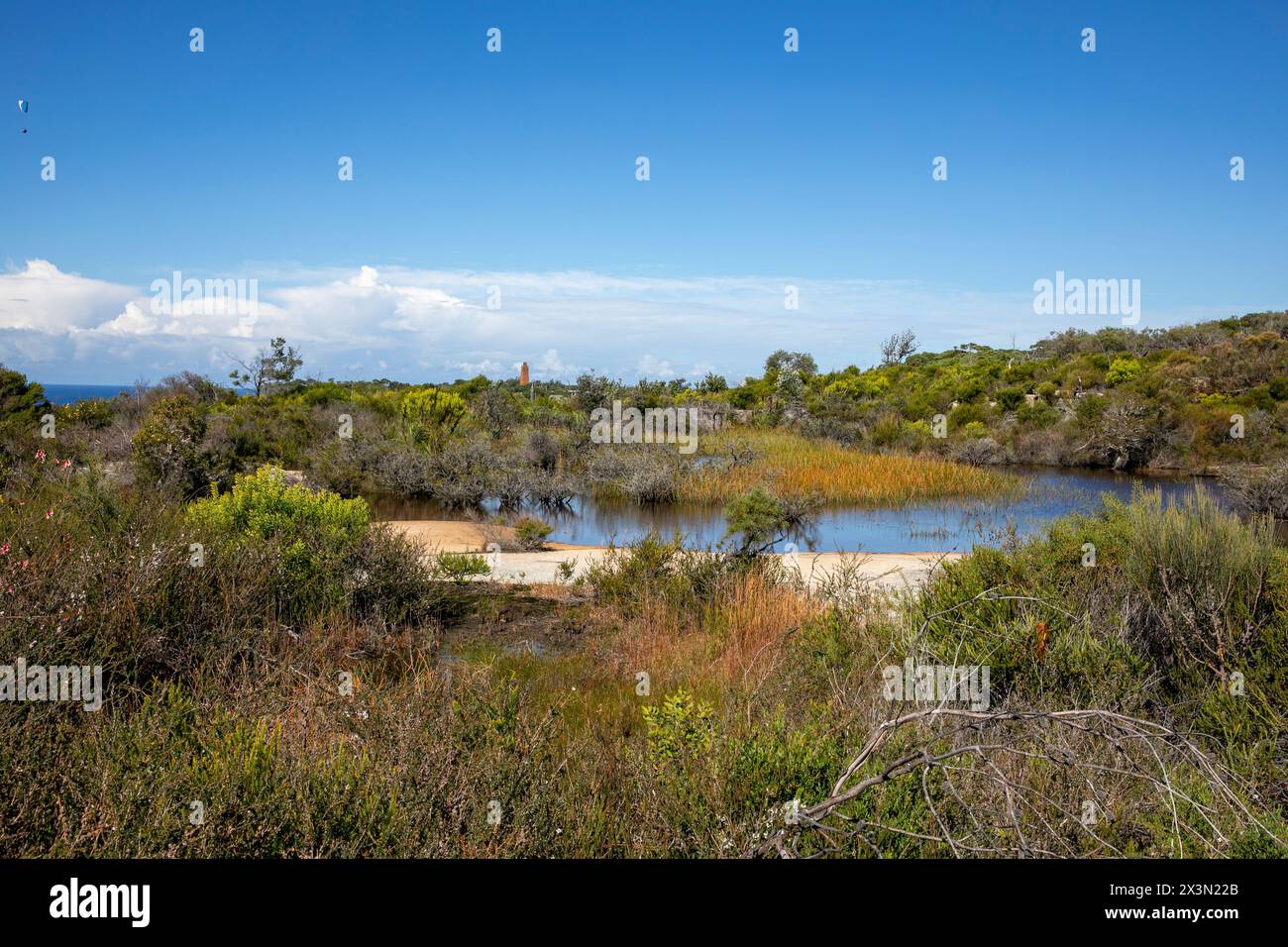 Old Quarry swamp on North Head Manly, located near Shelly beach lookout ...
