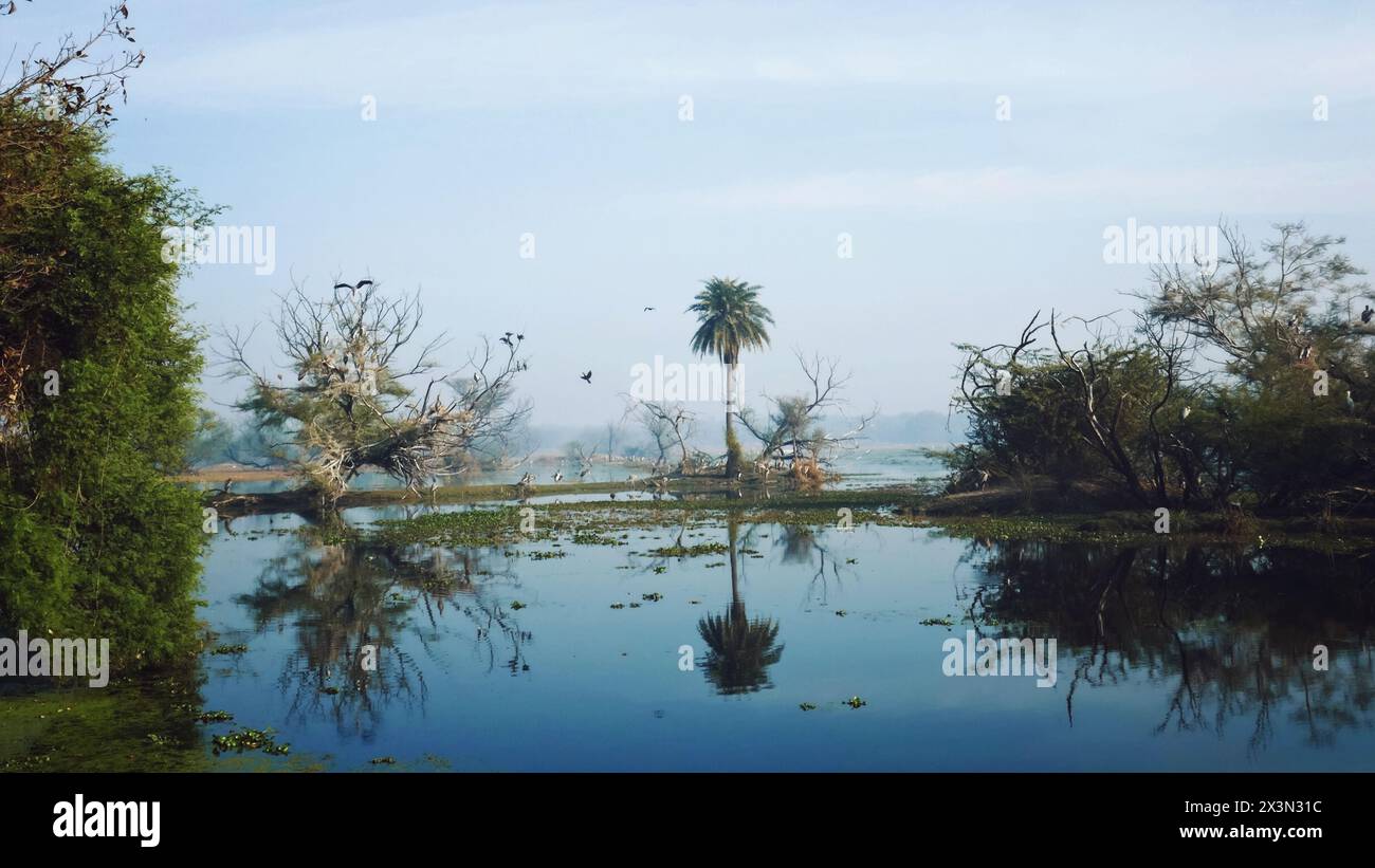 Bird Park landscape in northwestern India, in Rajasthan, Bharatpur ...