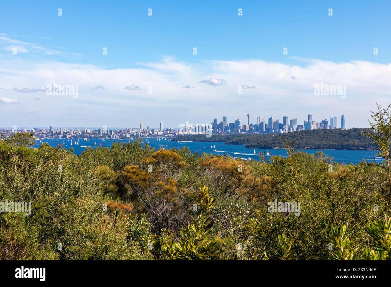 Panorama of Sydney Harbour and Sydney city centre skyline from the ...