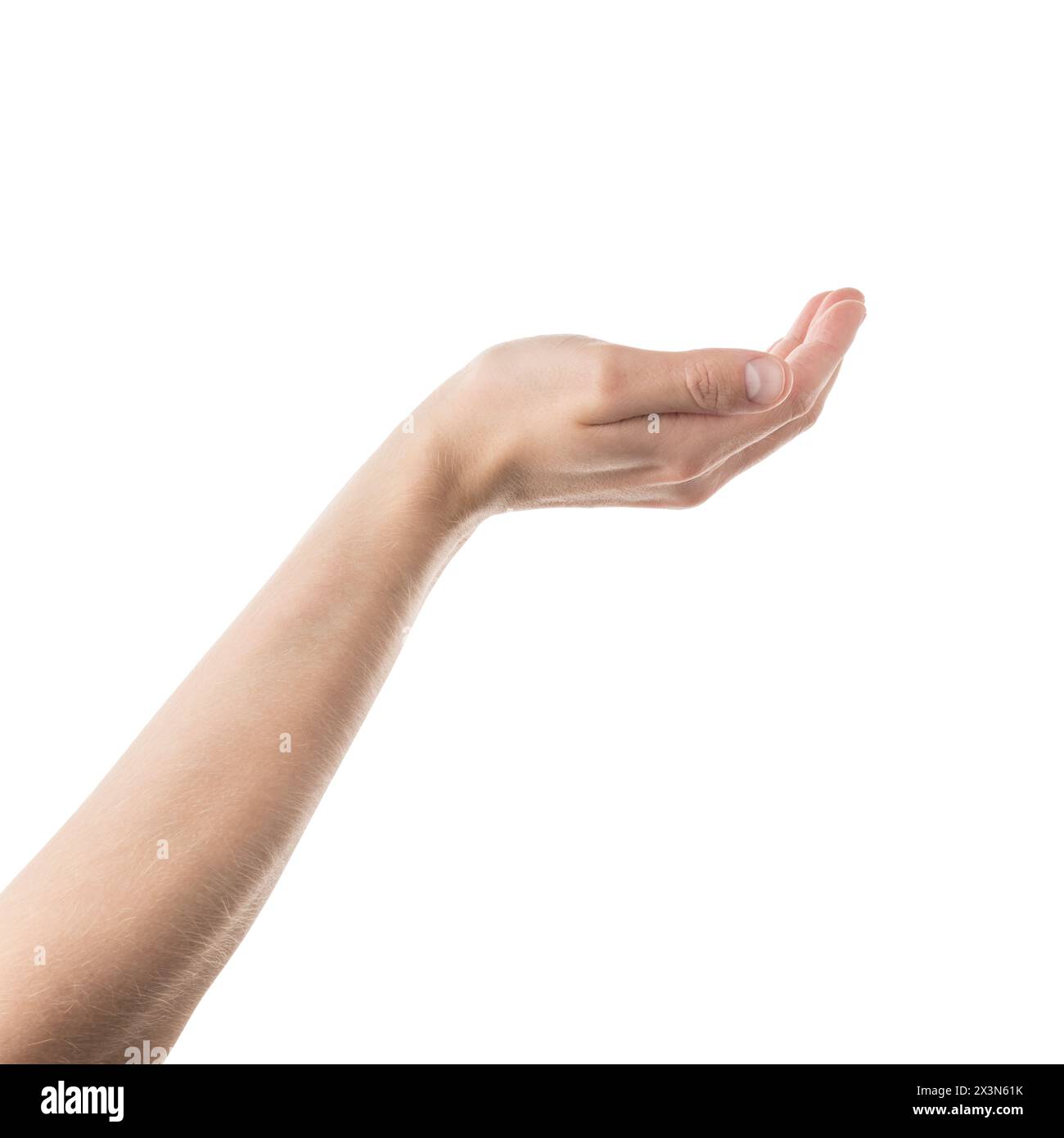 Adult man hand holding something isolated on white background, high ...