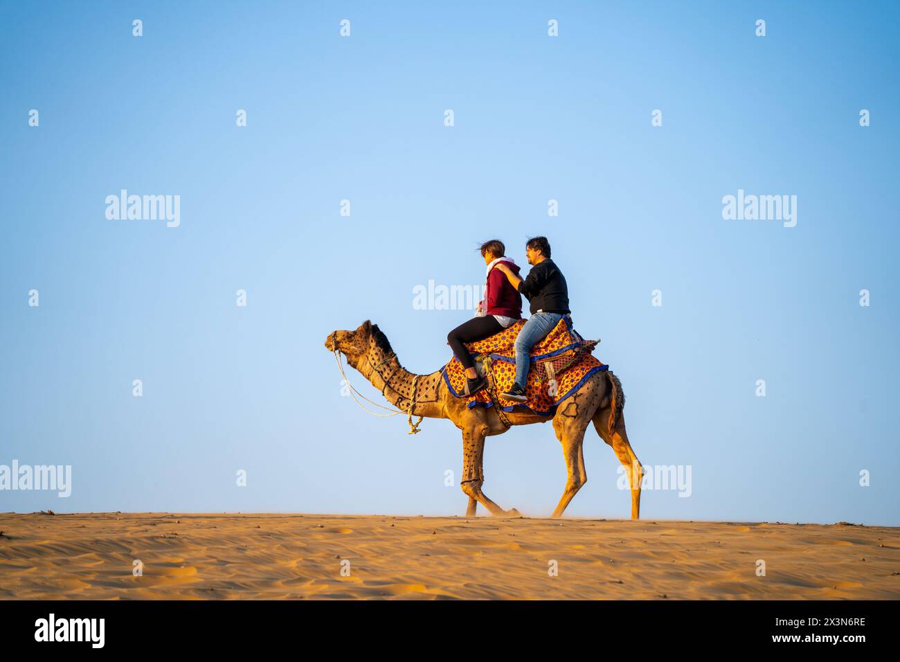 Young couple tourists sitting on camel enjoying the walk sand dunes in ...