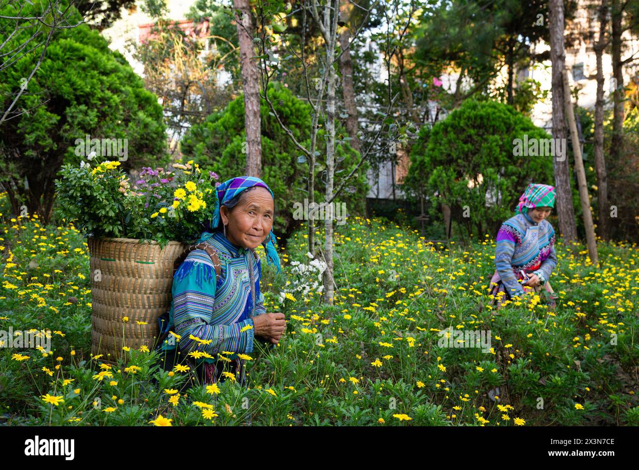 Hoang a tuongs palace hi-res stock photography and images - Alamy
