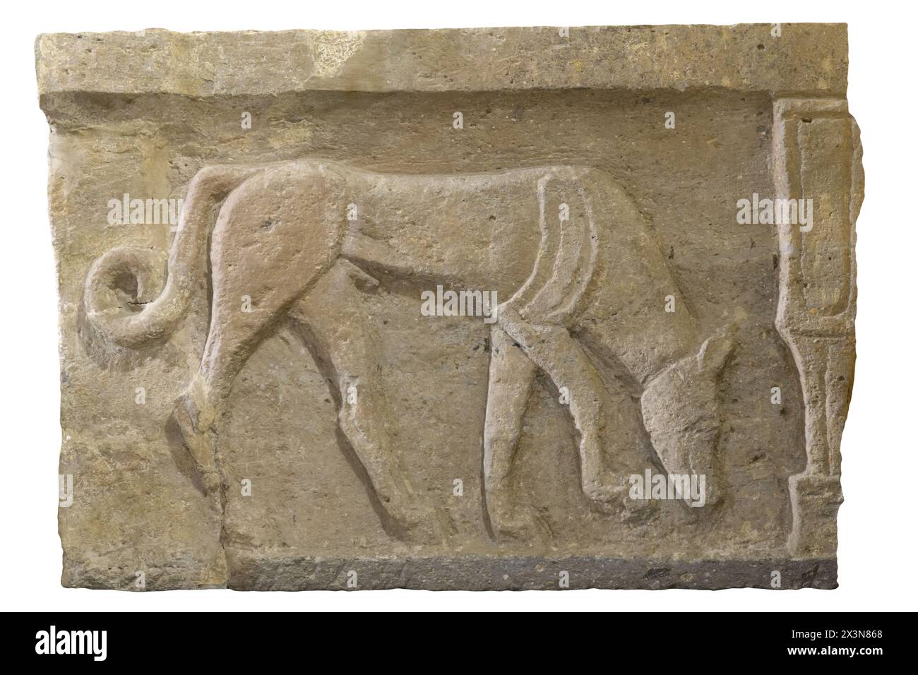 Bas-relief from the Tomb of the Dogs of Tofa (6th century B.C Stock ...