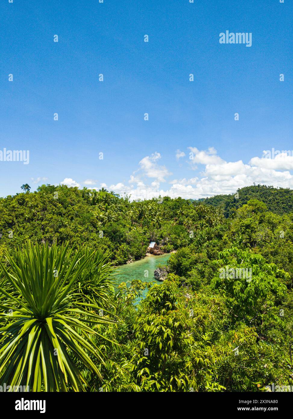 Bangkay Island with lagoon and trees. Surigao del Norte, Philippines ...