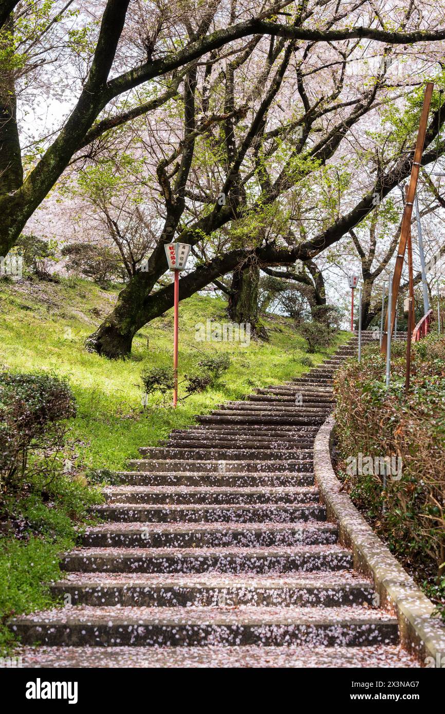 Stone stairs of Asahiyama Shinrin Park ( Mt. Asahi Forest Park ...