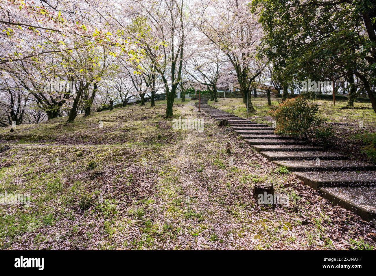 Stone stairs of Asahiyama Shinrin Park ( Mt. Asahi Forest Park ...