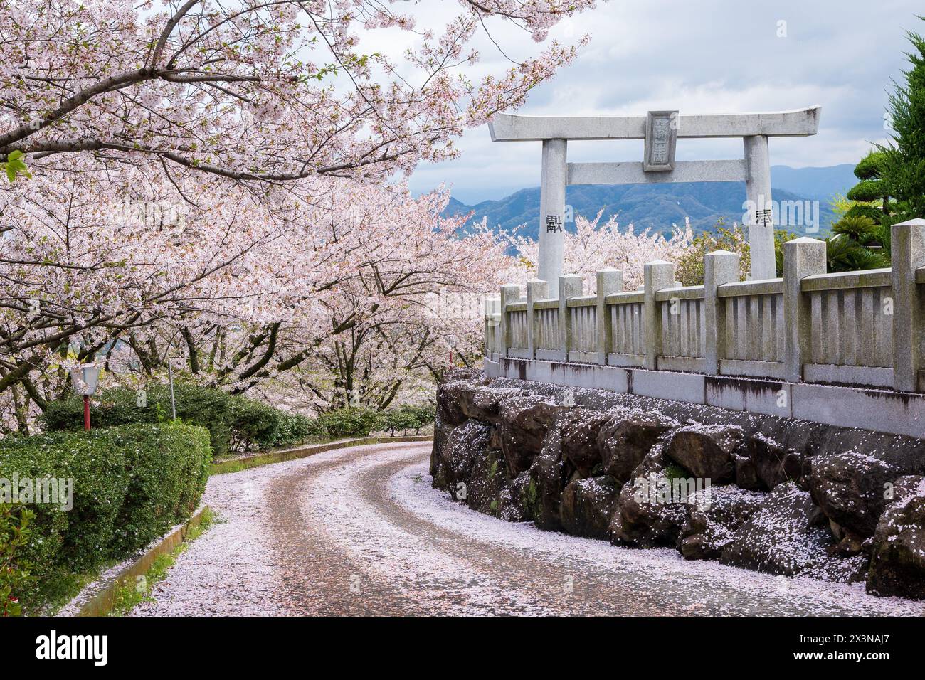 Ise Asahiyama Hongu shrine in the Asahiyama Shinrin Park ( Mt. Asahi ...