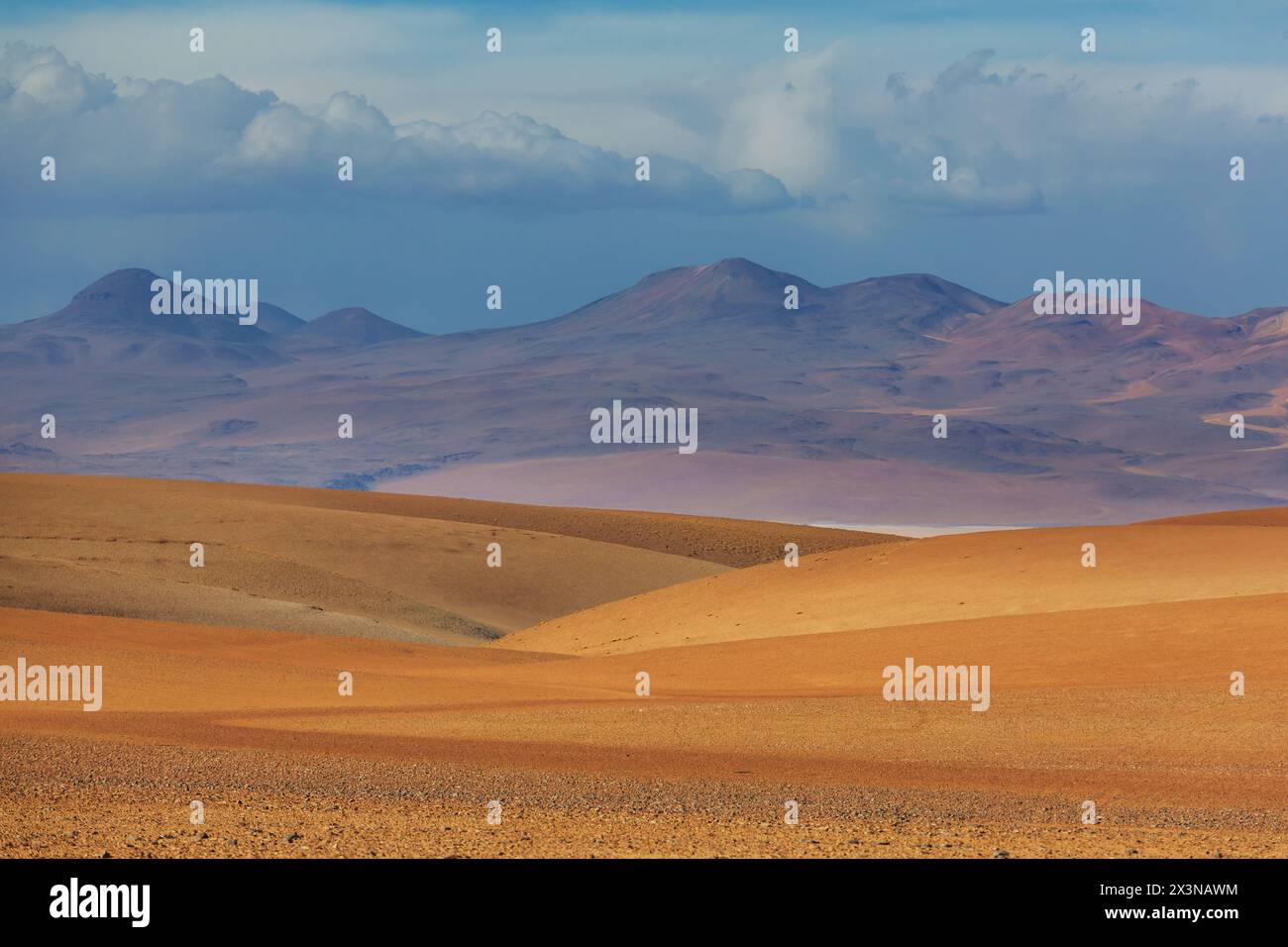 Epic Salvador Dali desert. Unusual natural landscapes in Bolivia Stock ...