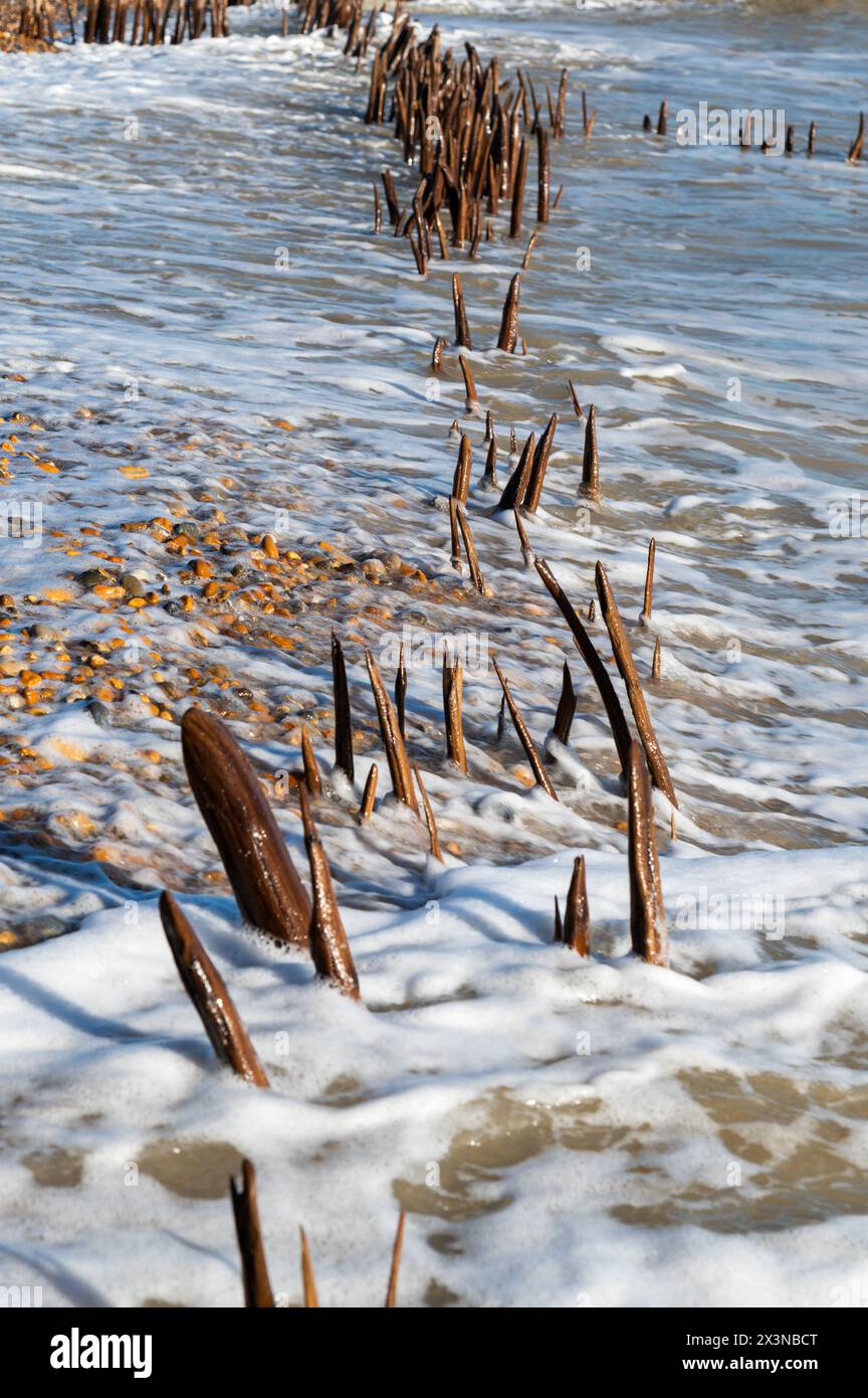 Strange shingle barrier hi-res stock photography and images - Alamy