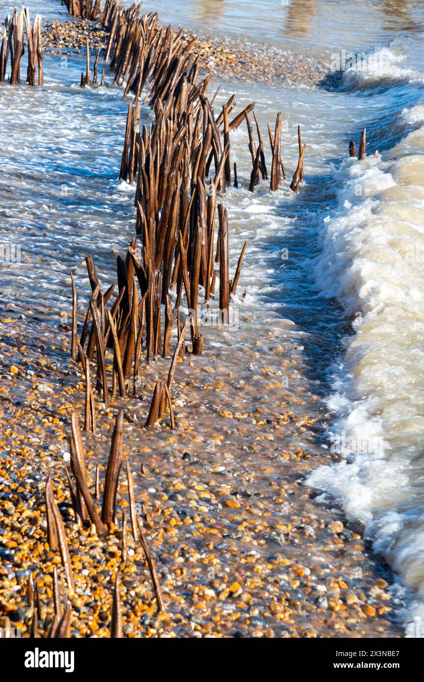 Eroded sea defences and groynes in the shingle at Rye Harbour Nature ...