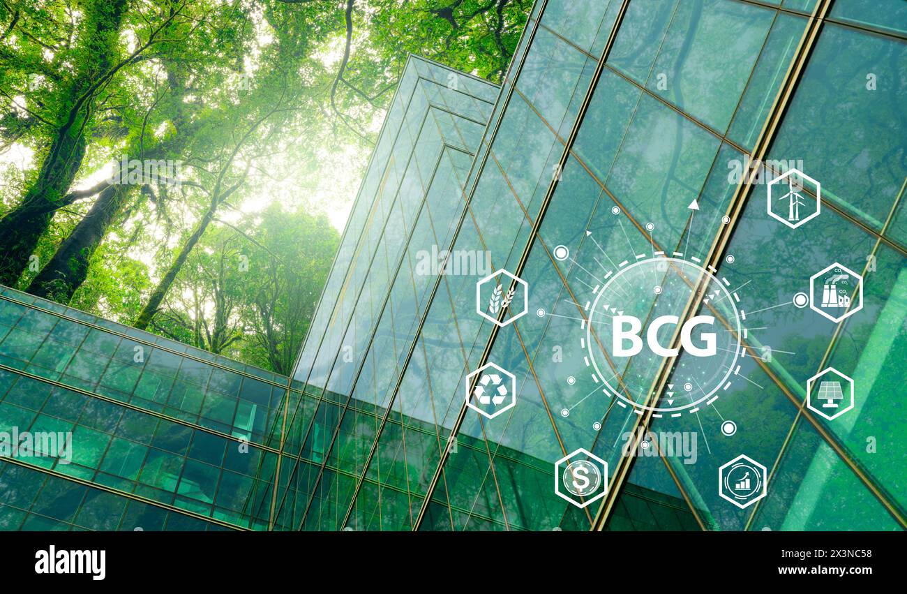 Bio-Circular Green economy concept. Corporate sustainability, renewable ...