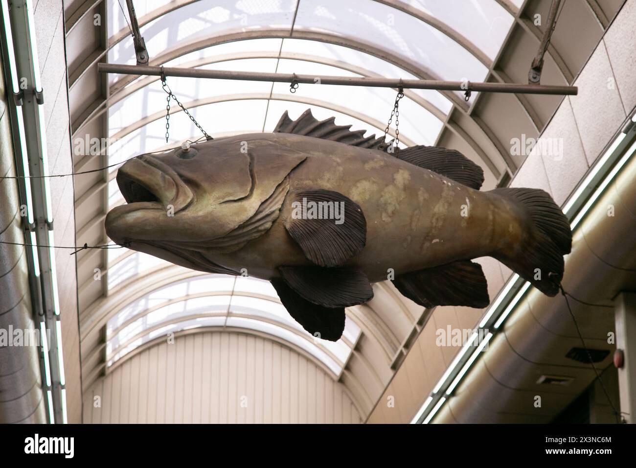 Osaka, Japan; 20th October 2023: Kuromon Ichiba Market, famous fish ...
